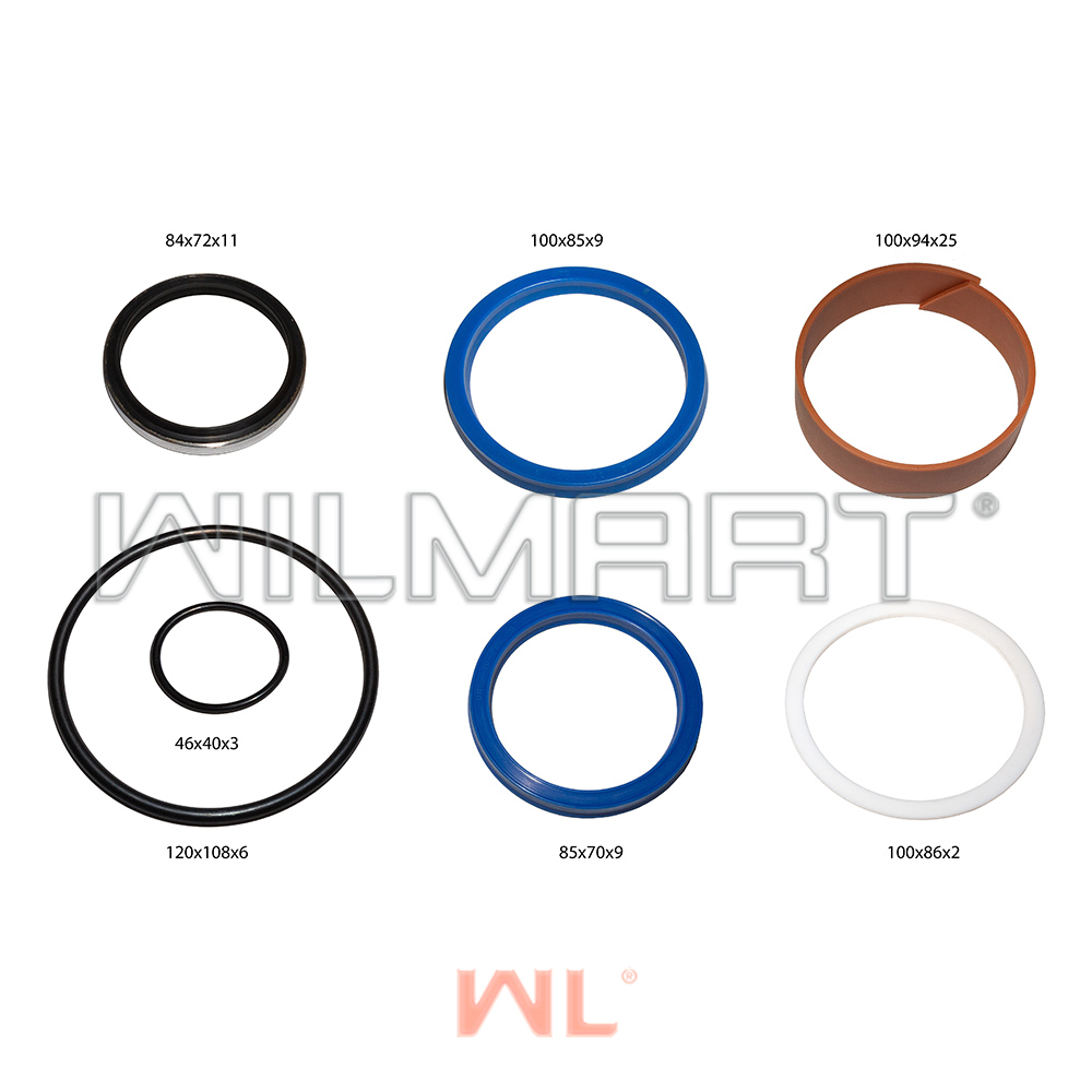 Ремкомплект ЦП CPCD80-100 CPCD100LC-KIT(100MM) купить в Нижнем ...